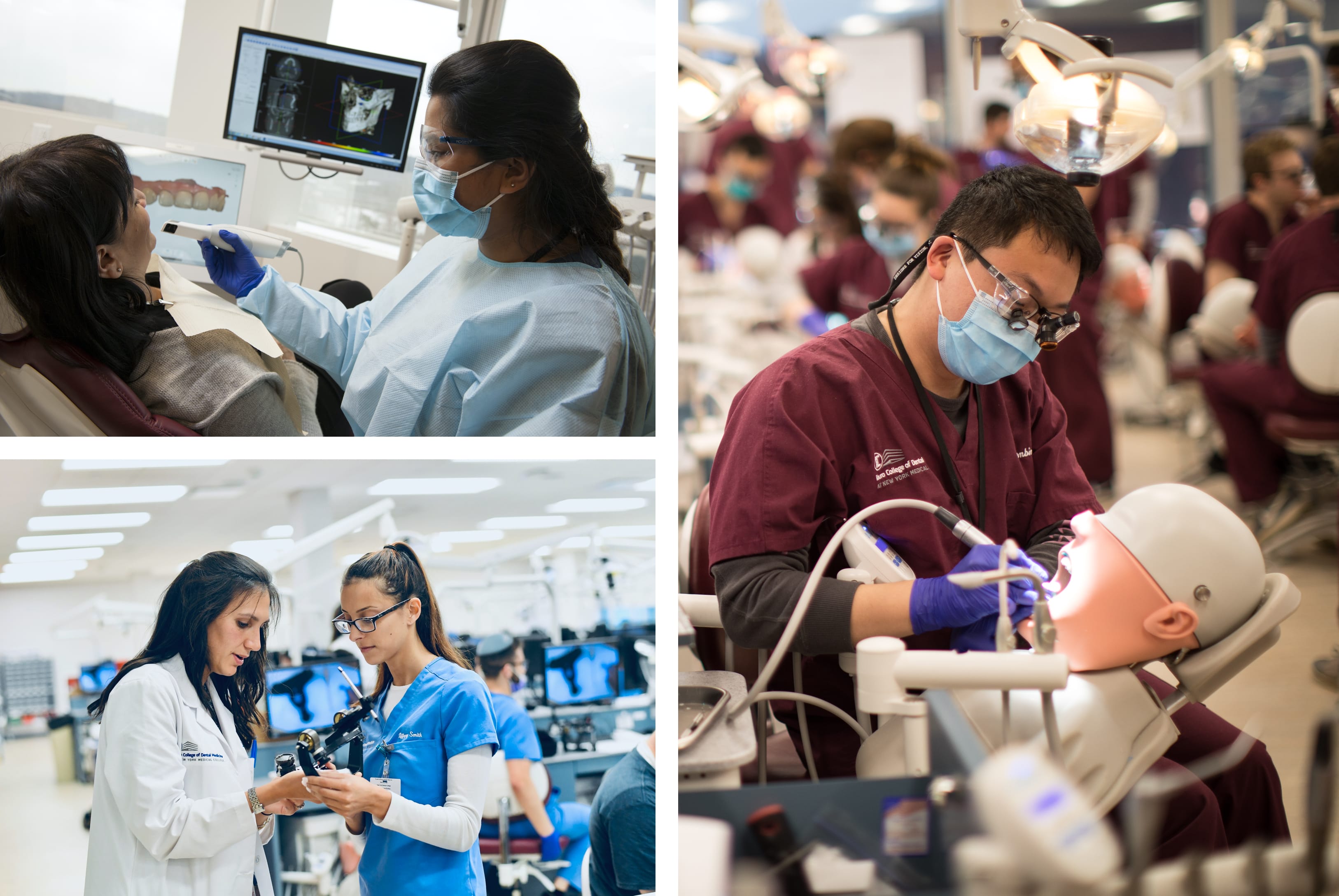 Pre Dental Experience Touro College Of Dental Medicine Touro University Pre Dental Experience Touro College Of Dental Medicine Touro University